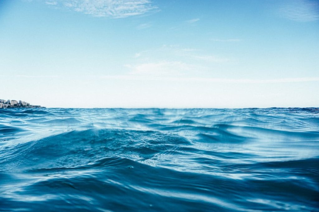 Victoria para los océanos: ¡Los líderes mundiales entregan un tratado ...